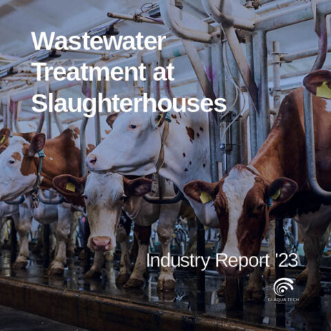 New Report: Addressing Slaughterhouse Wastewater Management Challenges ...